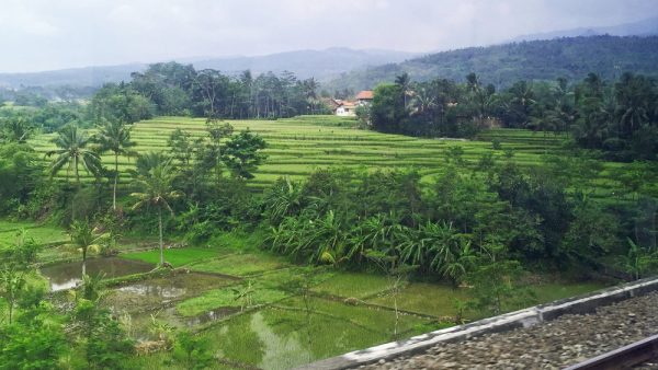 JAVA by TRAIN – The most rewarding and relaxing way to experience the ...