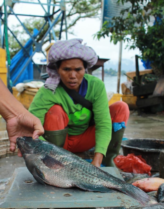 Land Cruising adventure North Sumatra and Java – Better Tours